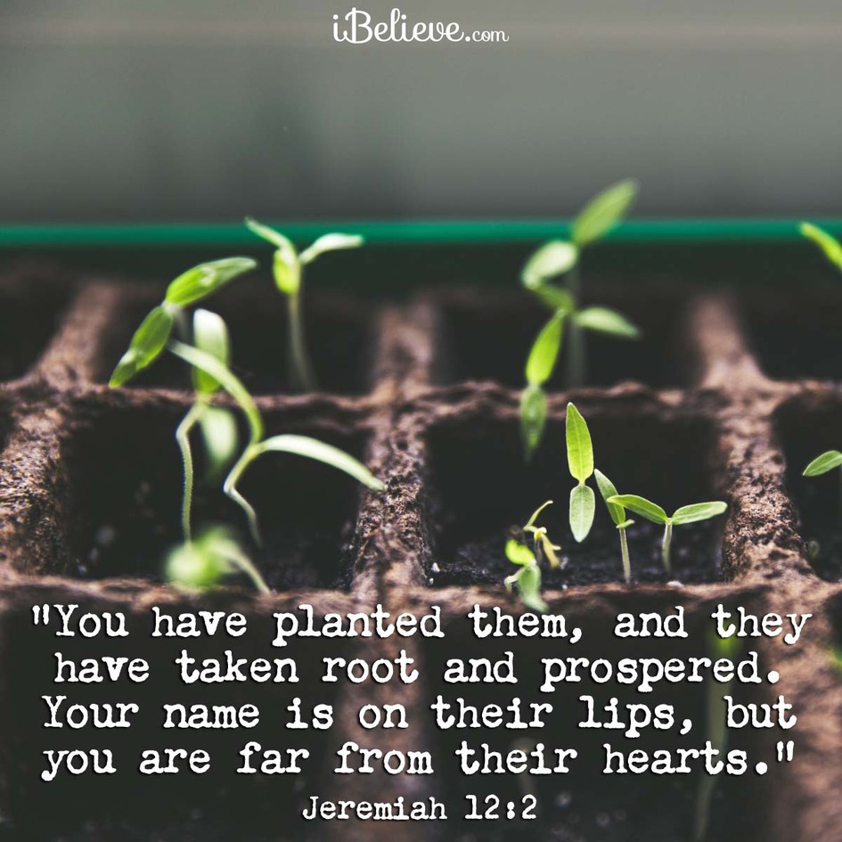 A Prayer for Growth During Trials - Your Daily Prayer - May 11 Daily ...
