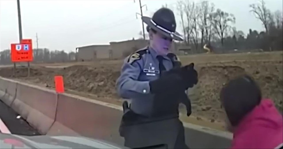 State Trooper Heroically Rescues Cat from Dangerous Road | GodTube.com
