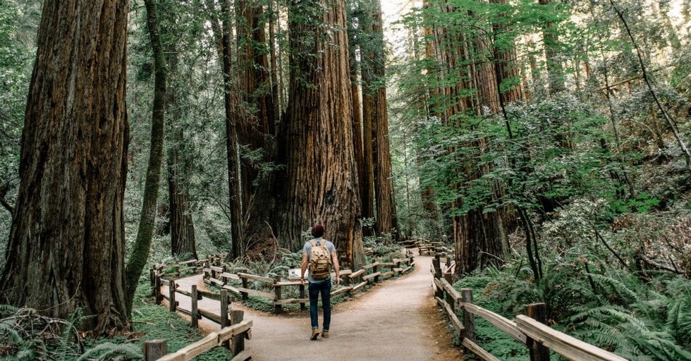 10 Things You Should Know about Original Sin