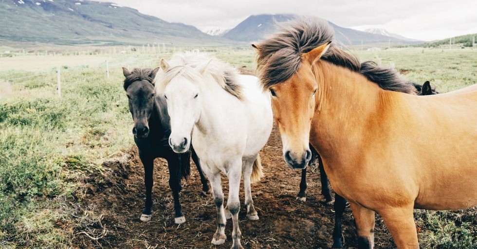 10 Things to Know about the Sovereignty of God