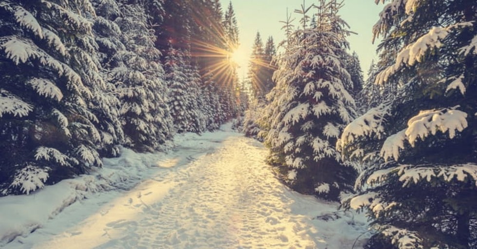 10 Things You Can do Outside with Your Family Even in Cold Weather